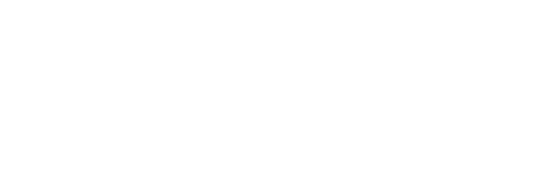 Sociedad Chilena de Arqueología